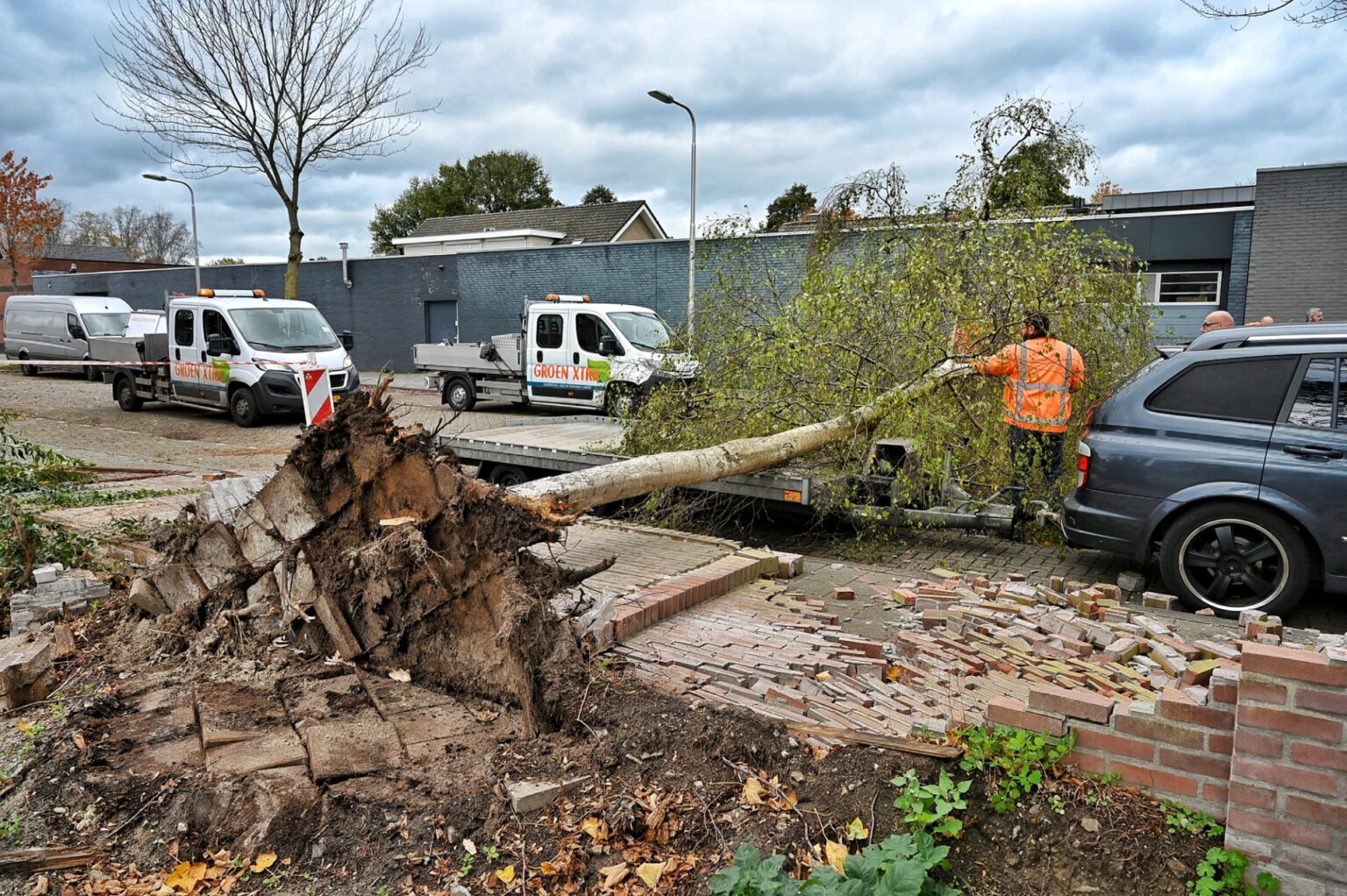 Storm Benjamin sleurt boom om: auto en muurtje vernield in Tilburg Noord